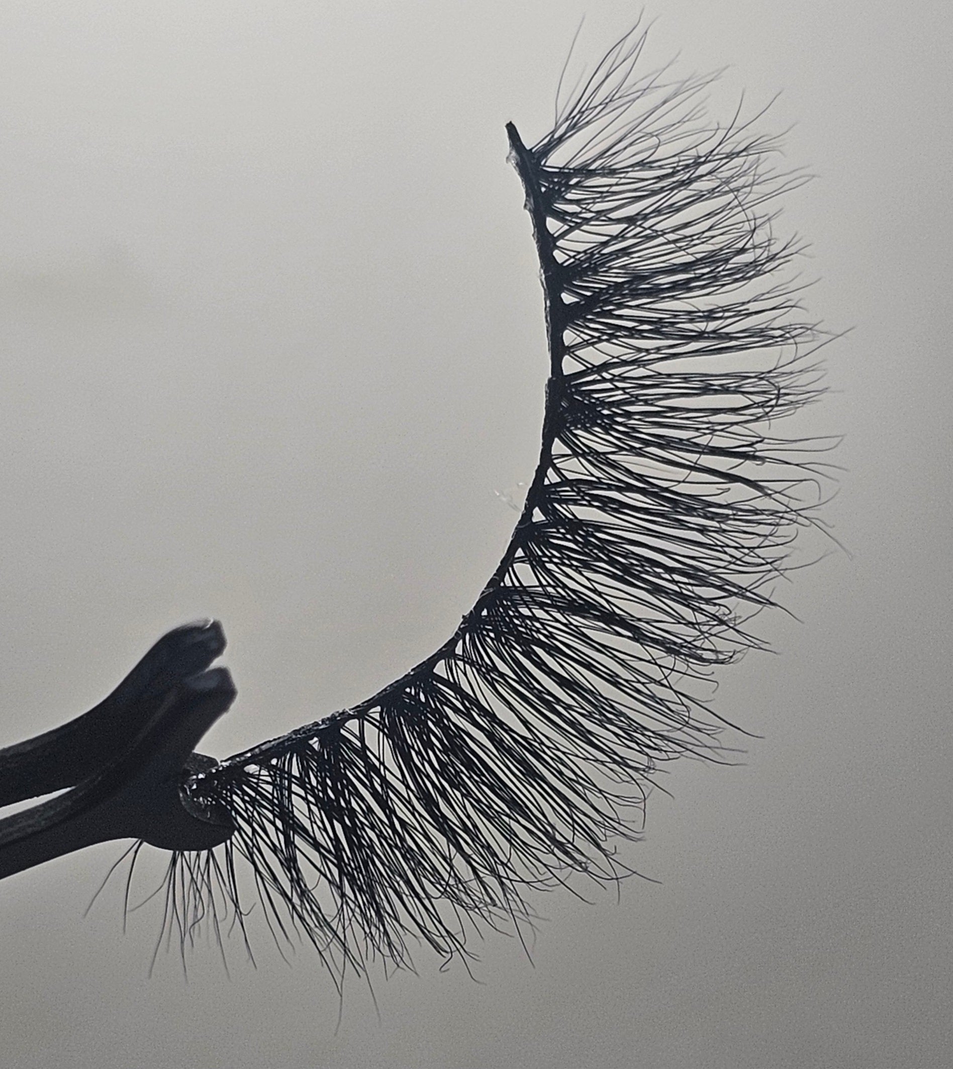 SANAA – Beauty Unmatched